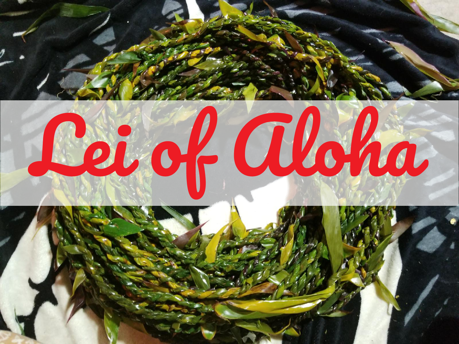 Lei of Aloha for Las Vegas | Lehualani Center